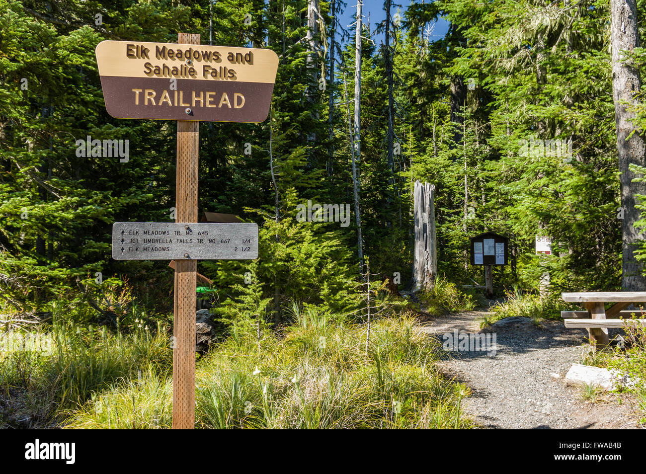 Trailhead sign for Elk Meadows and Sahalie Falls. Mt Hood National ...