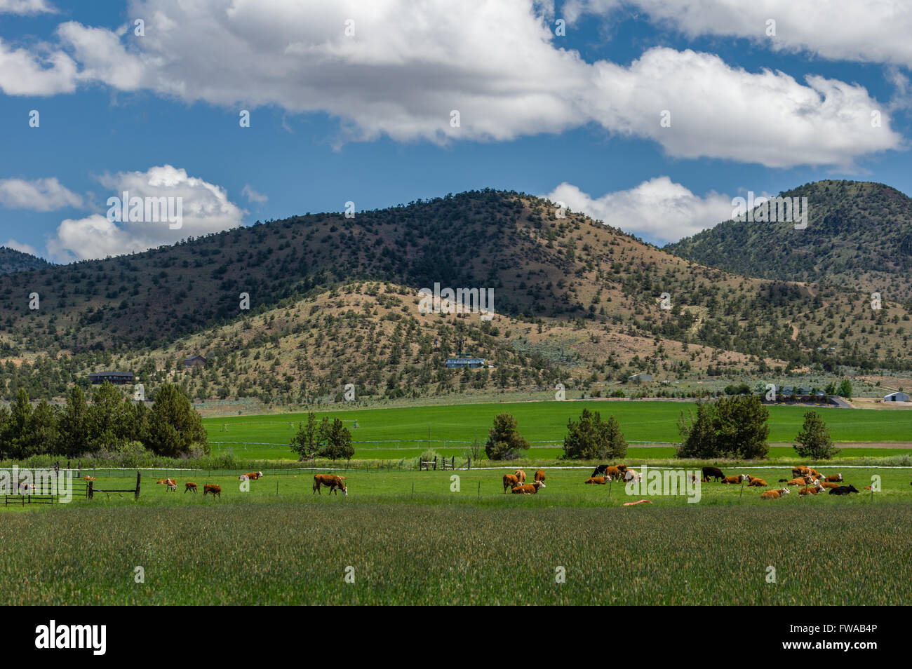 Grazing cloud hi-res stock photography and images - Alamy