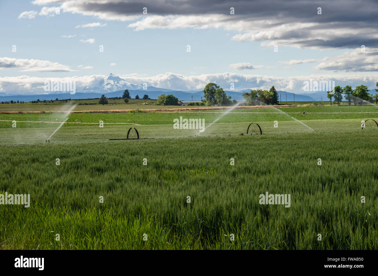 Eastern farming practices hi-res stock photography and images - Alamy