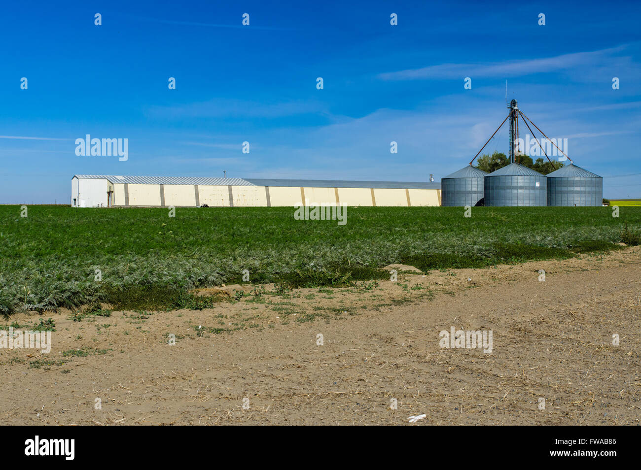 Metal silos and storage building on a farm in eastern Washington, USA ...
