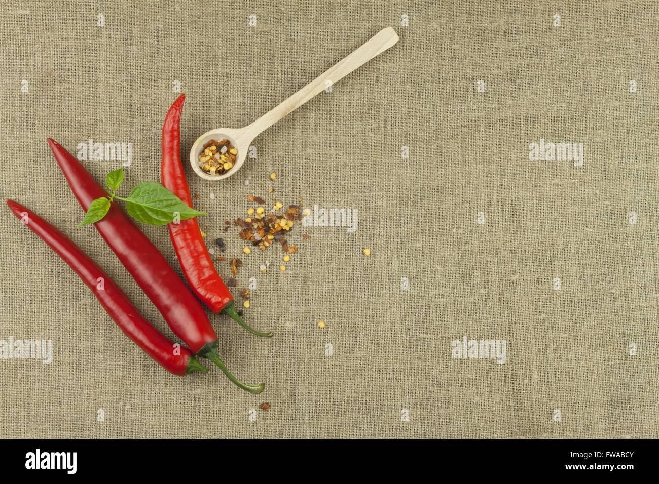Chili peppers on a canvas background. The ingredients for spicy food ...