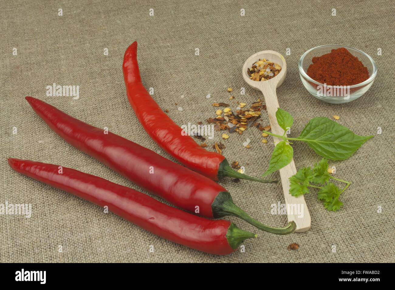 Chili peppers on a canvas background. The ingredients for spicy food ...