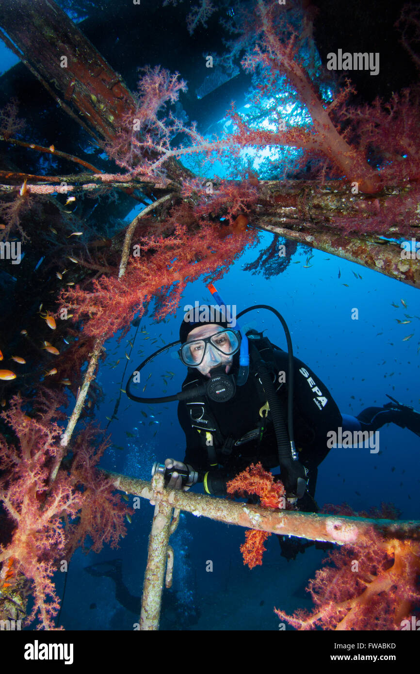 Coral reef destroyer hi-res stock photography and images - Alamy