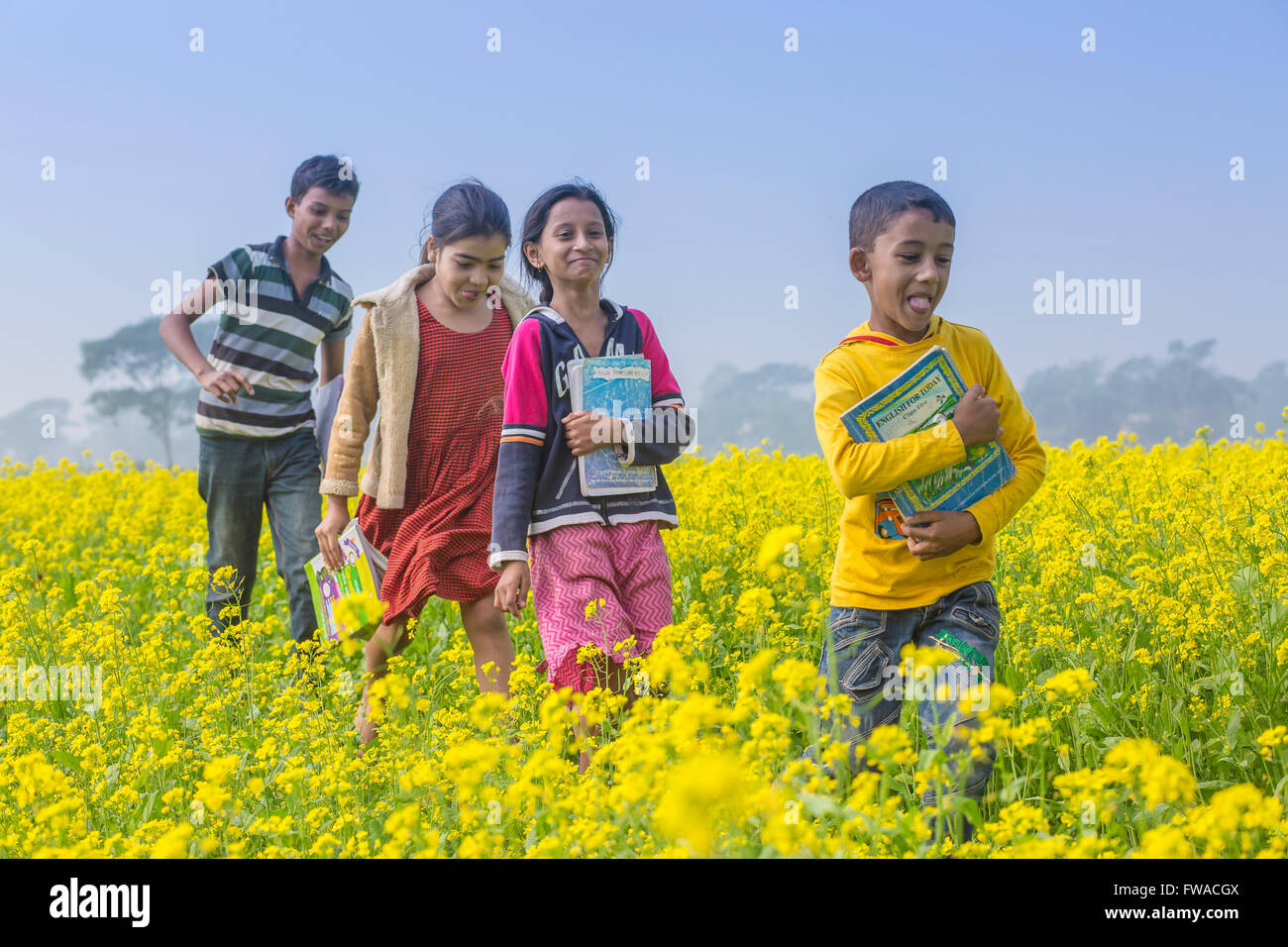 Yollow hi-res stock photography and images - Alamy