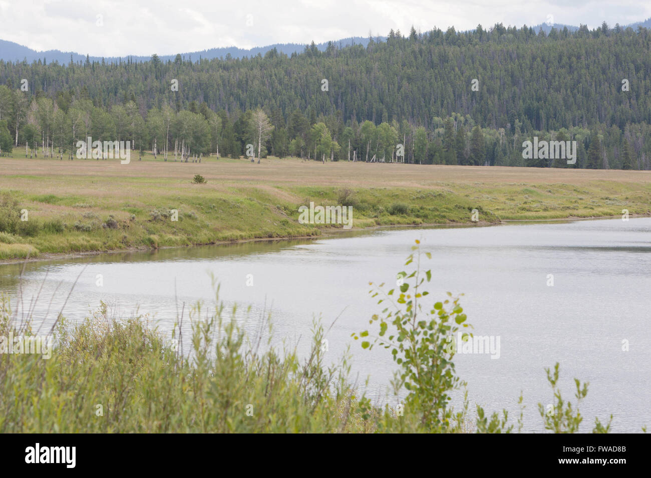 Buffalo fork hi-res stock photography and images - Alamy