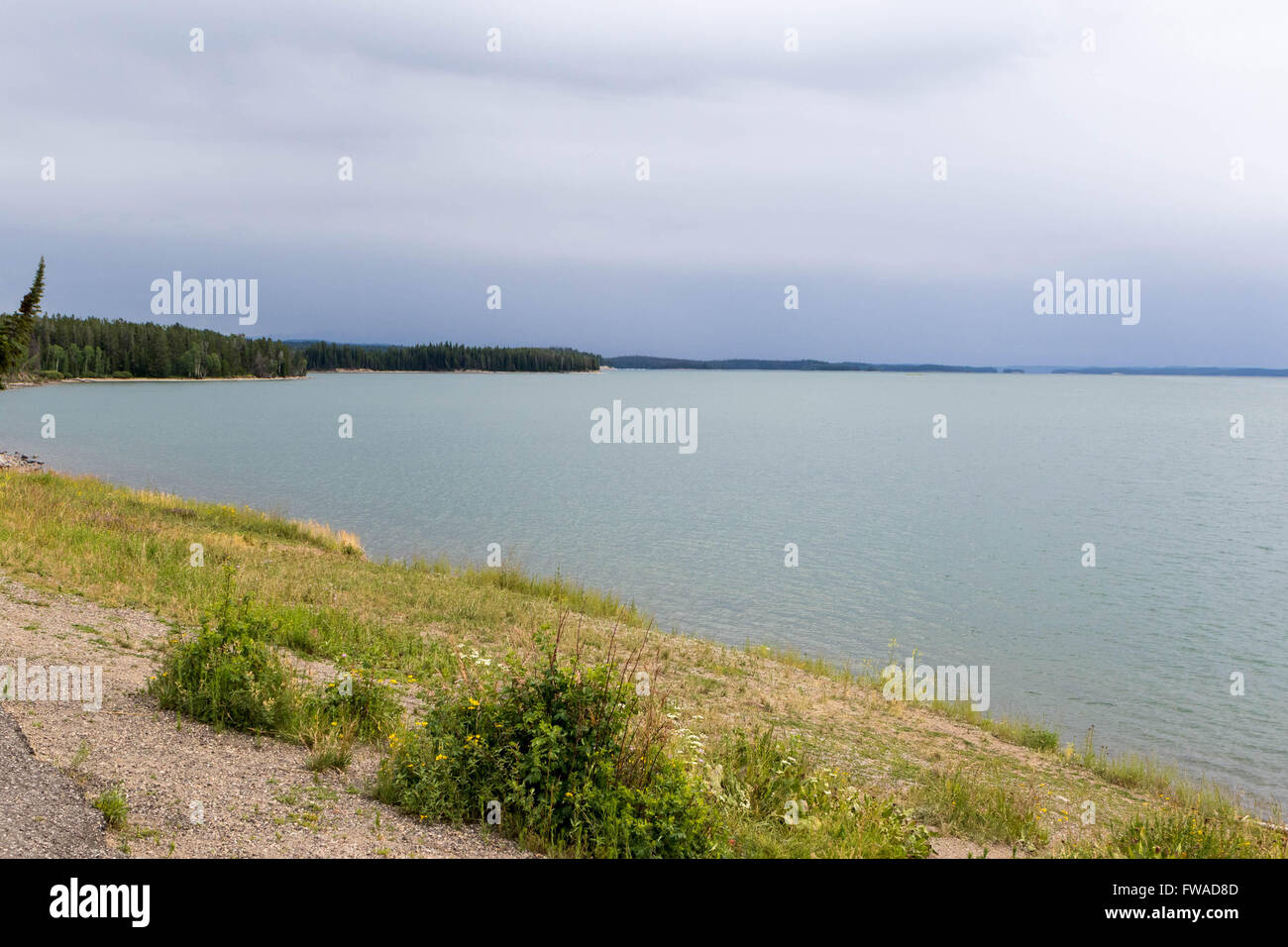 Jackson lake hi-res stock photography and images - Alamy