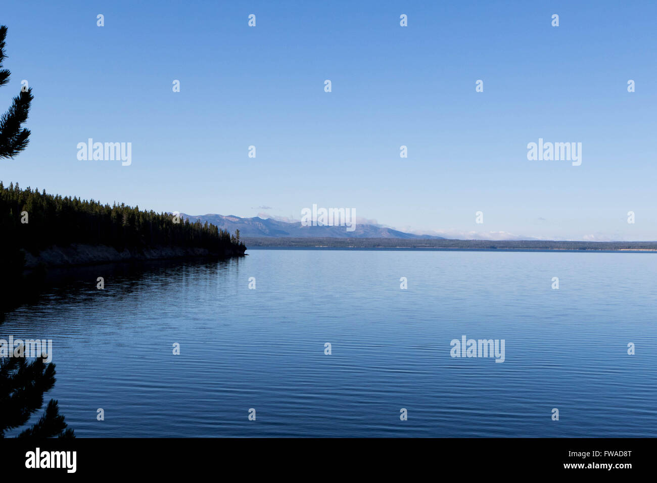 Lake Yellowstone, Yellowstone National Park Stock Photo - Alamy