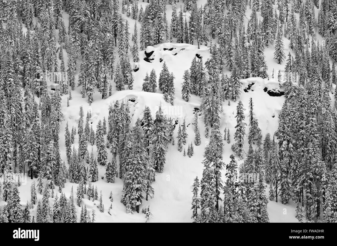 Nevada snow united states Black and White Stock Photos & Images - Alamy