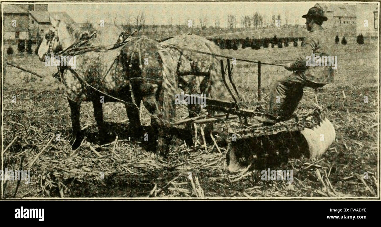 "Elements of farm practice" (1919 Stock Photo - Alamy