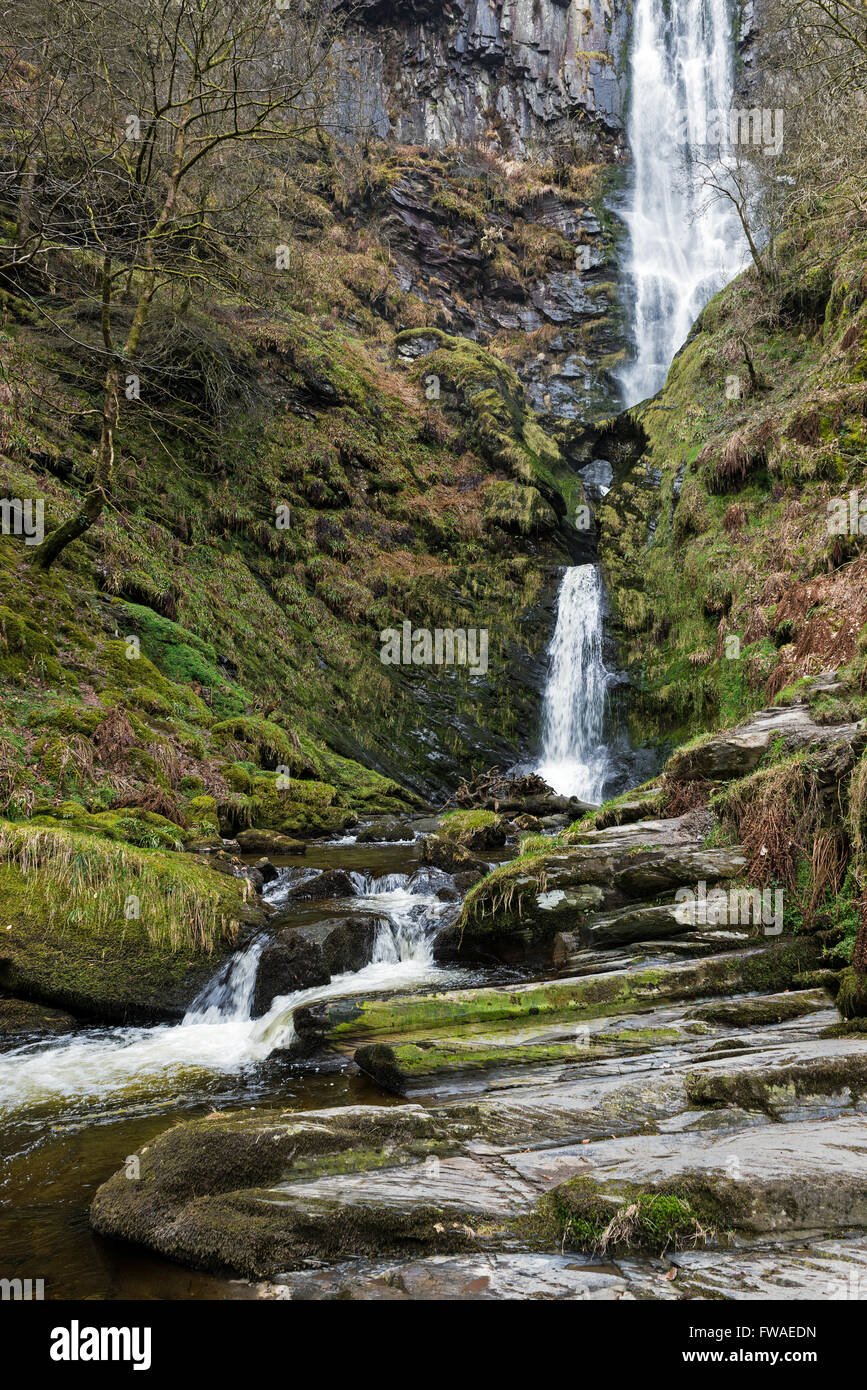Pistyll Rhaeder waterfall at 80m is the highest in Wales. Situated in ...