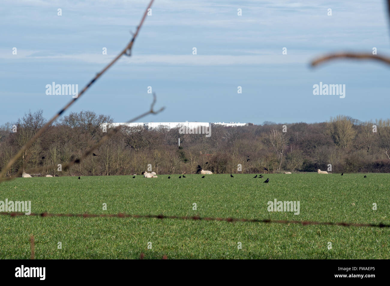 Pinewood Studios expansion...architectural carbuncles Stock Photo - Alamy