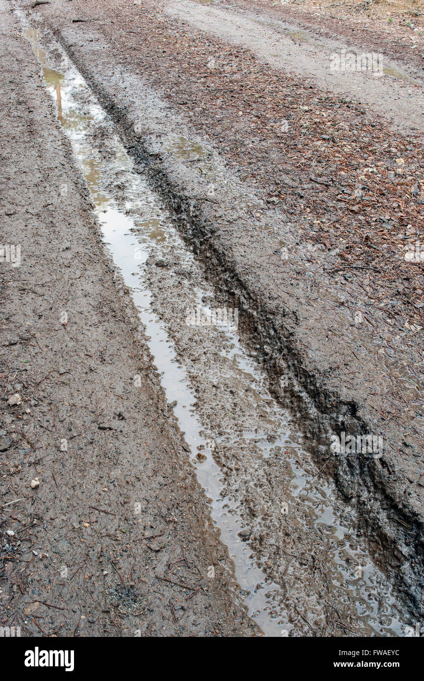 Breaking up of the frost in the gravel road, Sweden Stock Photo - Alamy