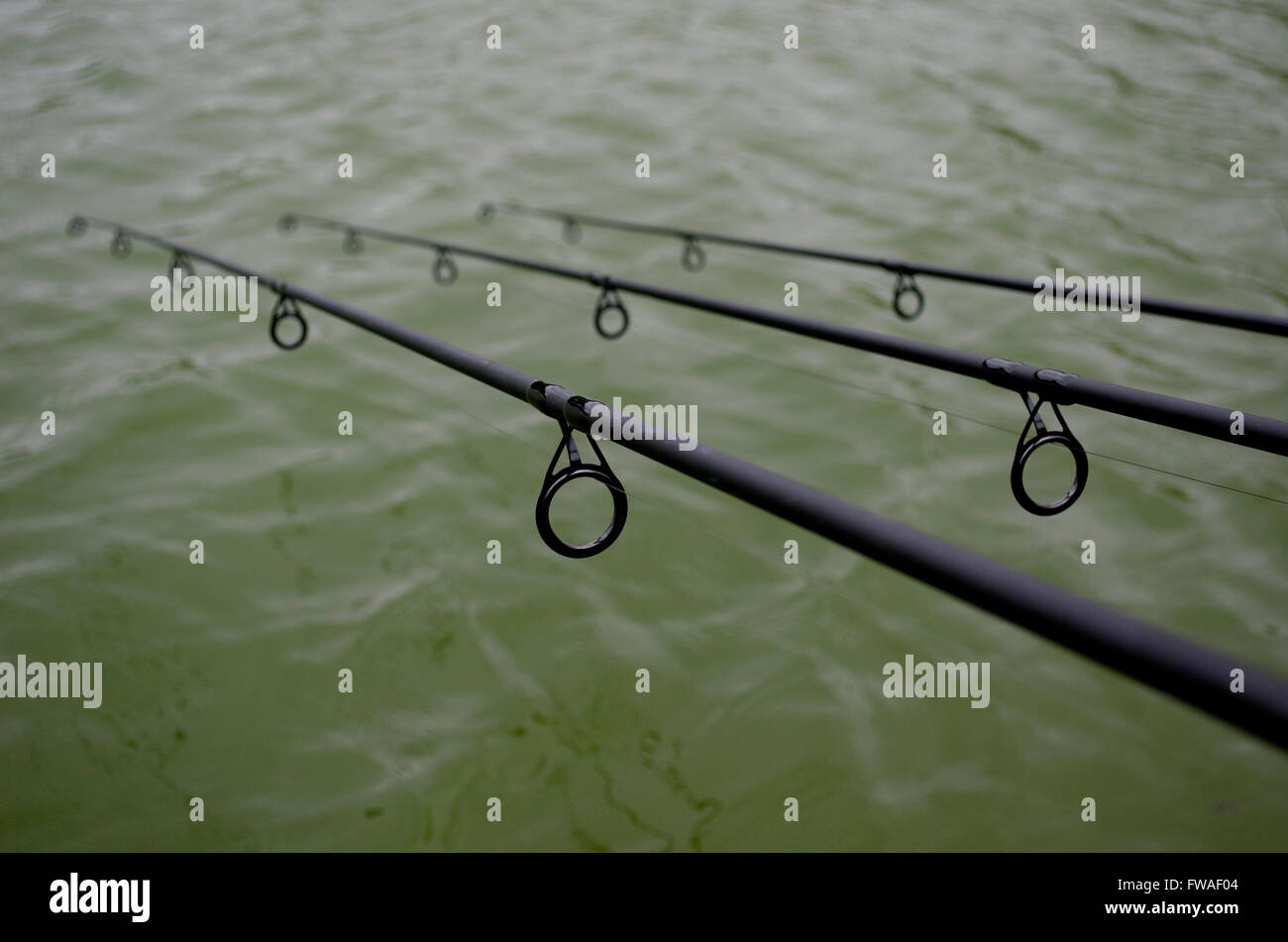 British water fish hi-res stock photography and images - Alamy