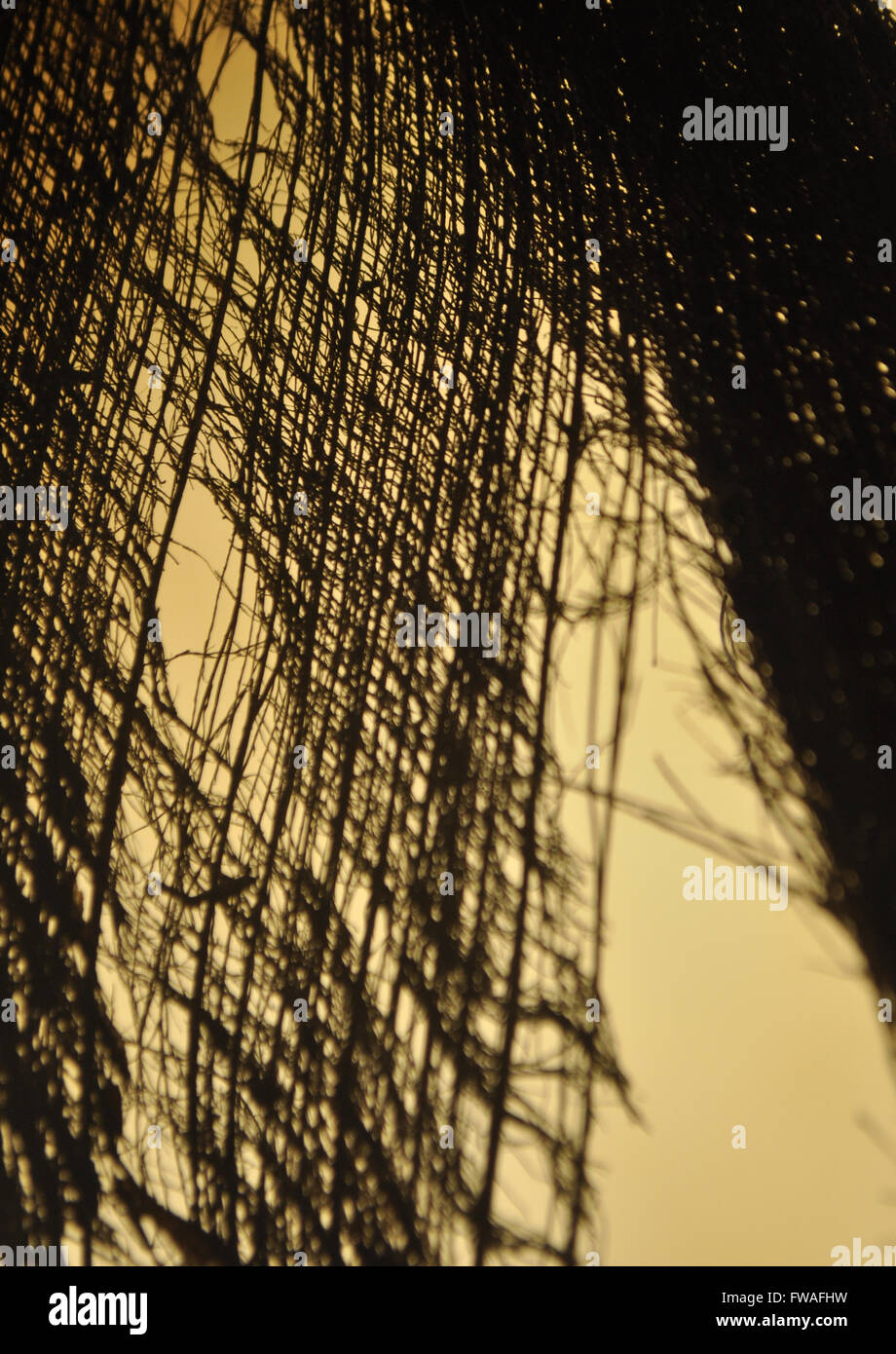 Natural any texture and background,or use for natural background Stock ...