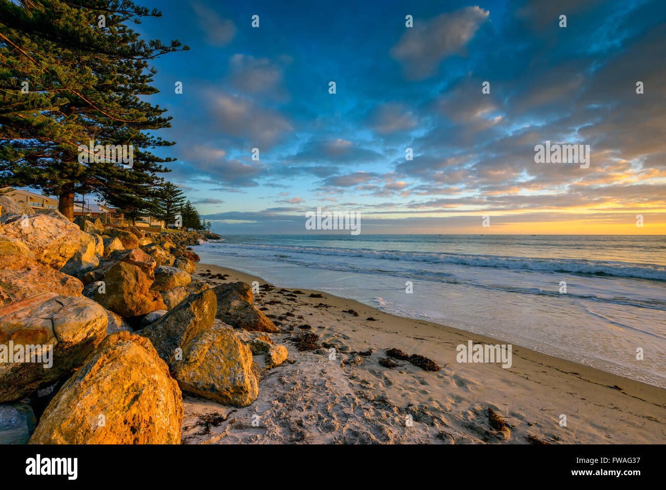 Beautiful algae hi-res stock photography and images - Alamy