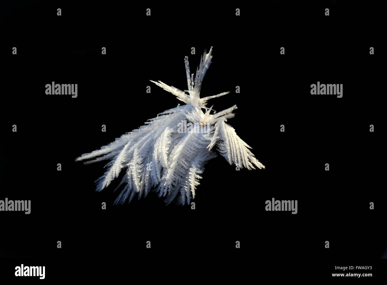 Fallen shape hi-res stock photography and images - Alamy