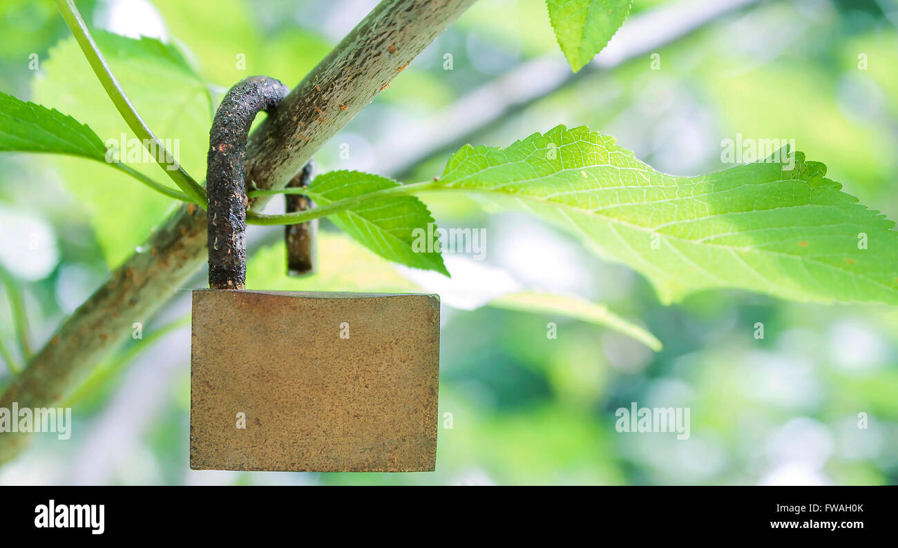 Save the nature hi-res stock photography and images - Alamy
