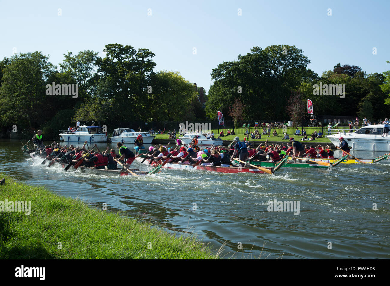 Dragon boat racing hi-res stock photography and images - Alamy