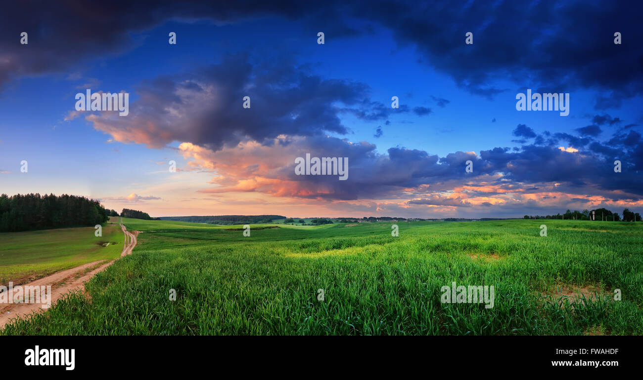 Spring rain hi-res stock photography and images - Alamy