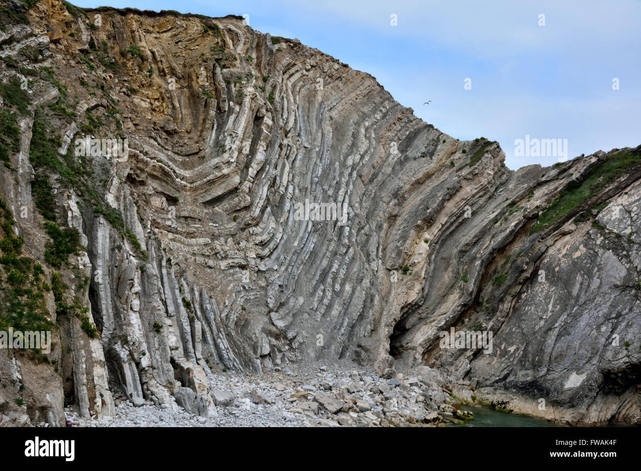 Amazing geology of Stair Hole on the Jurassic Coast. A crumple in Stock ...