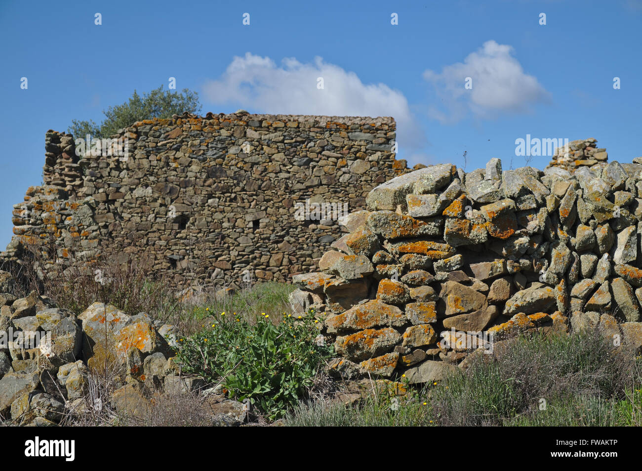 Stone wall ruins of an old and forgotten farm Stock Photo - Alamy