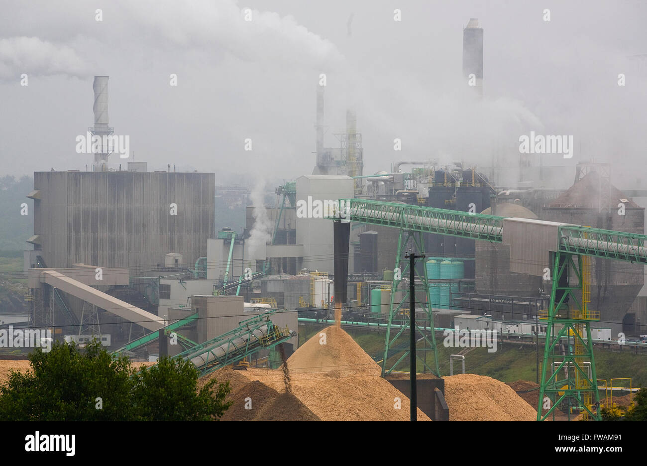 Pulp mill logging pulp hi-res stock photography and images - Alamy