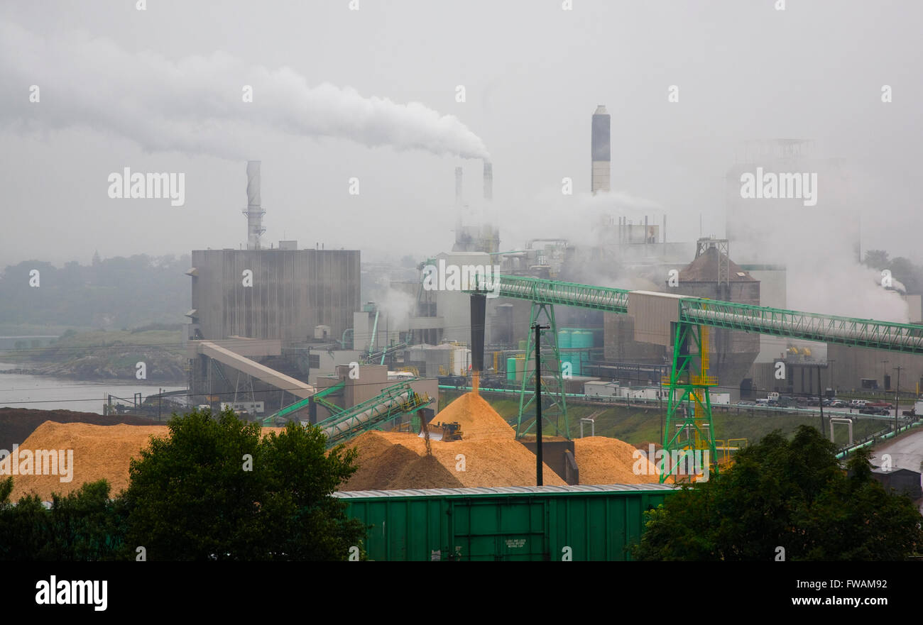 Pulp mill logging pulp hi-res stock photography and images - Alamy