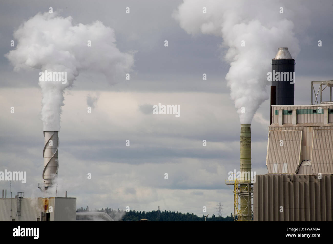 Pulp mill logging pulp hi-res stock photography and images - Alamy