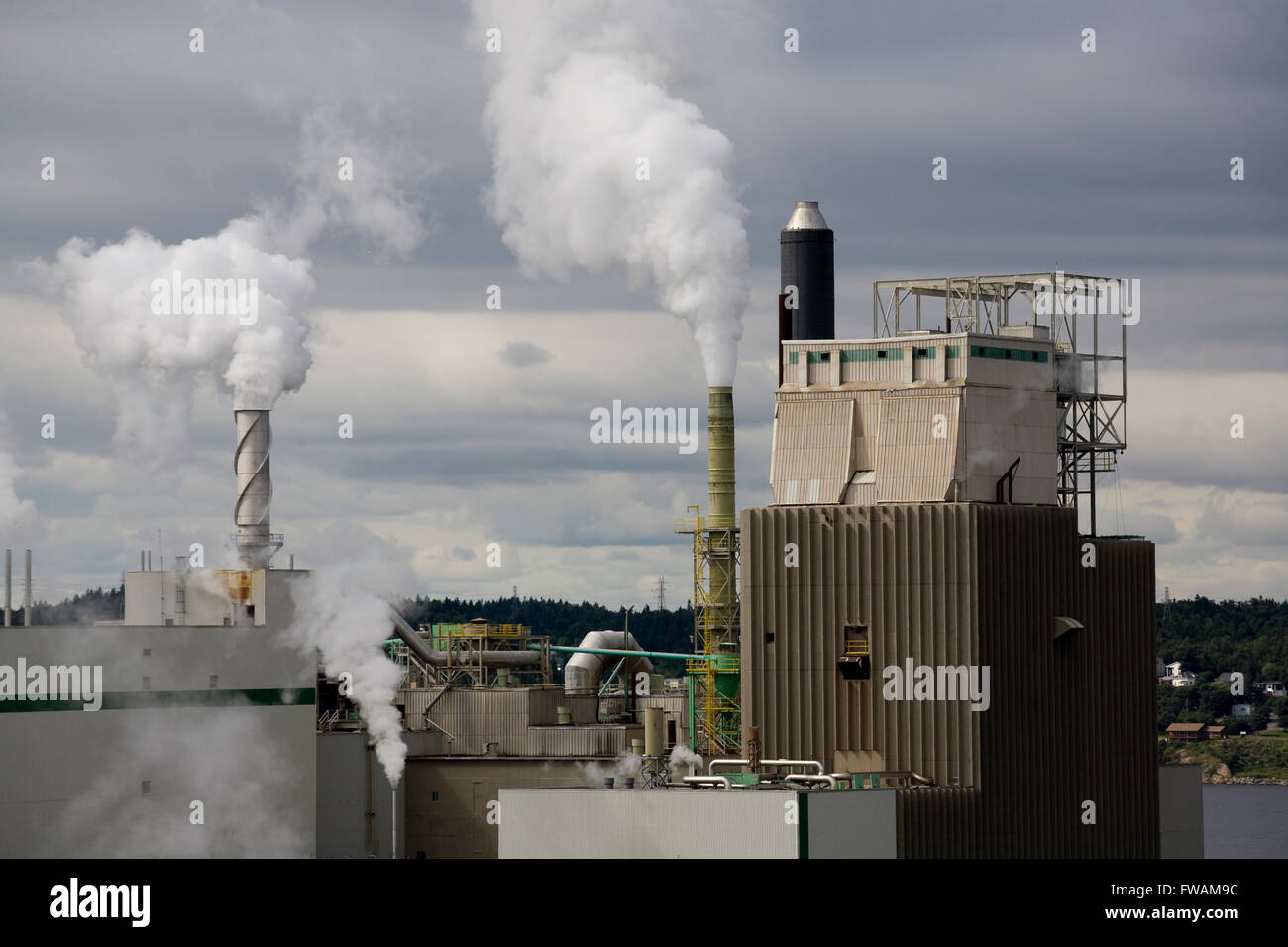 Pulp mill logging pulp hi-res stock photography and images - Alamy