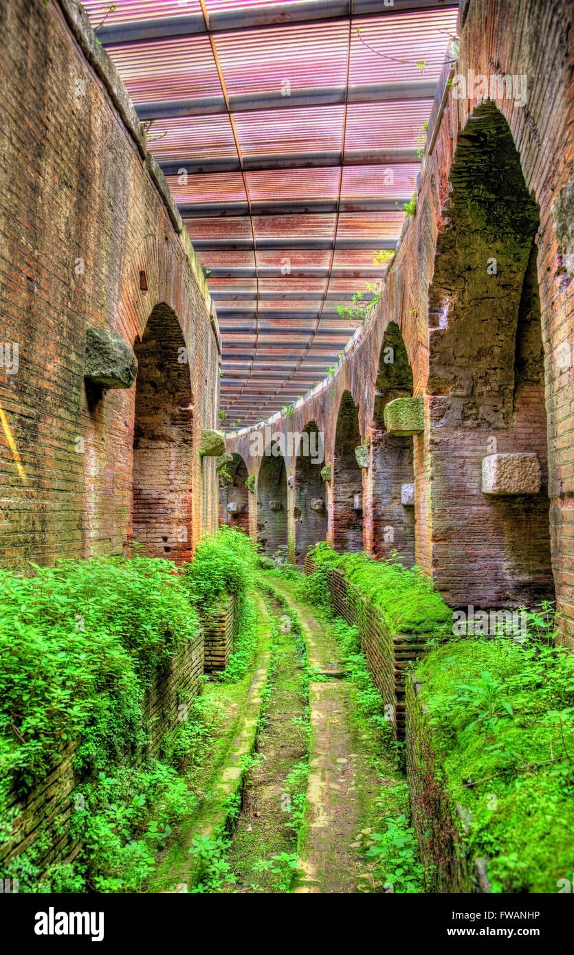 Subterranean passage beneath the arena of the Capua Amphitheatre Stock ...