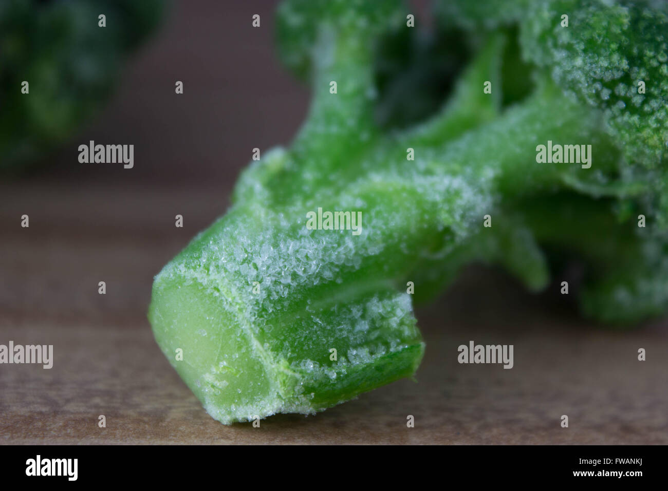 broccoli, broccoli sprouts, sprouts, frozen, wooden, ice, table, wood ...