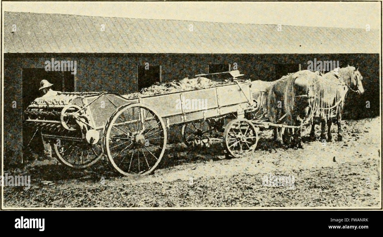 "Elements of farm practice" (1919 Stock Photo - Alamy