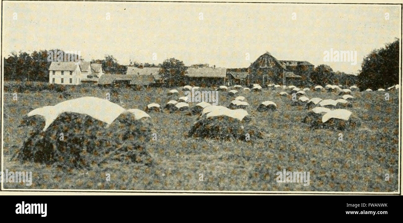 "Elements of farm practice" (1919 Stock Photo - Alamy
