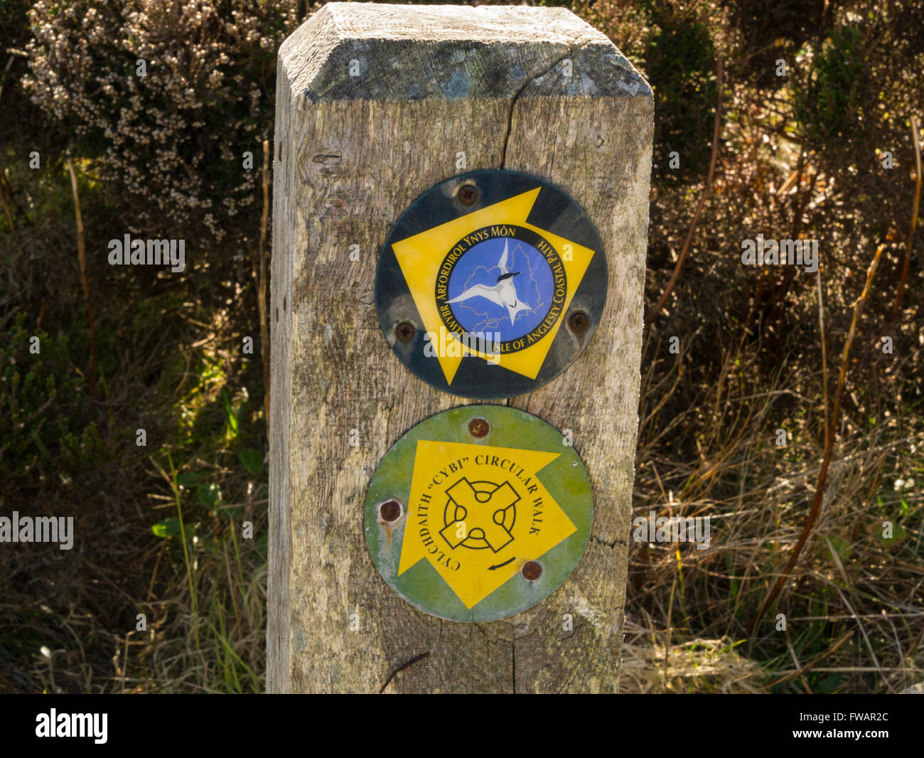 Waymarker post for Isle of Anglesey Coastal Path and Cybi Saints Walk ...