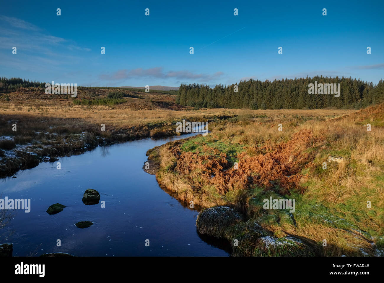 Walking in galloway hi-res stock photography and images - Alamy
