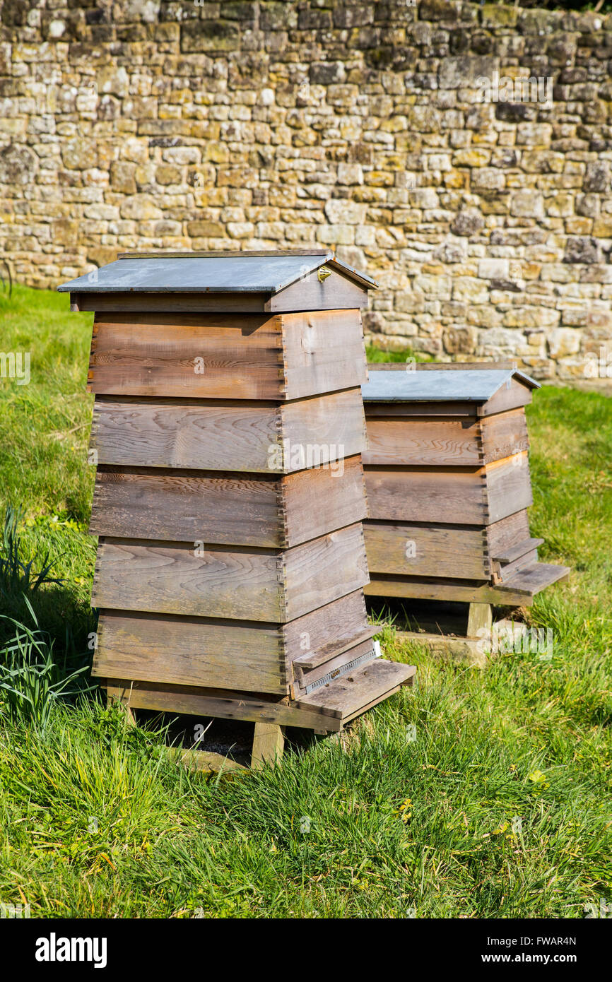 Traditional beehives hi-res stock photography and images - Alamy
