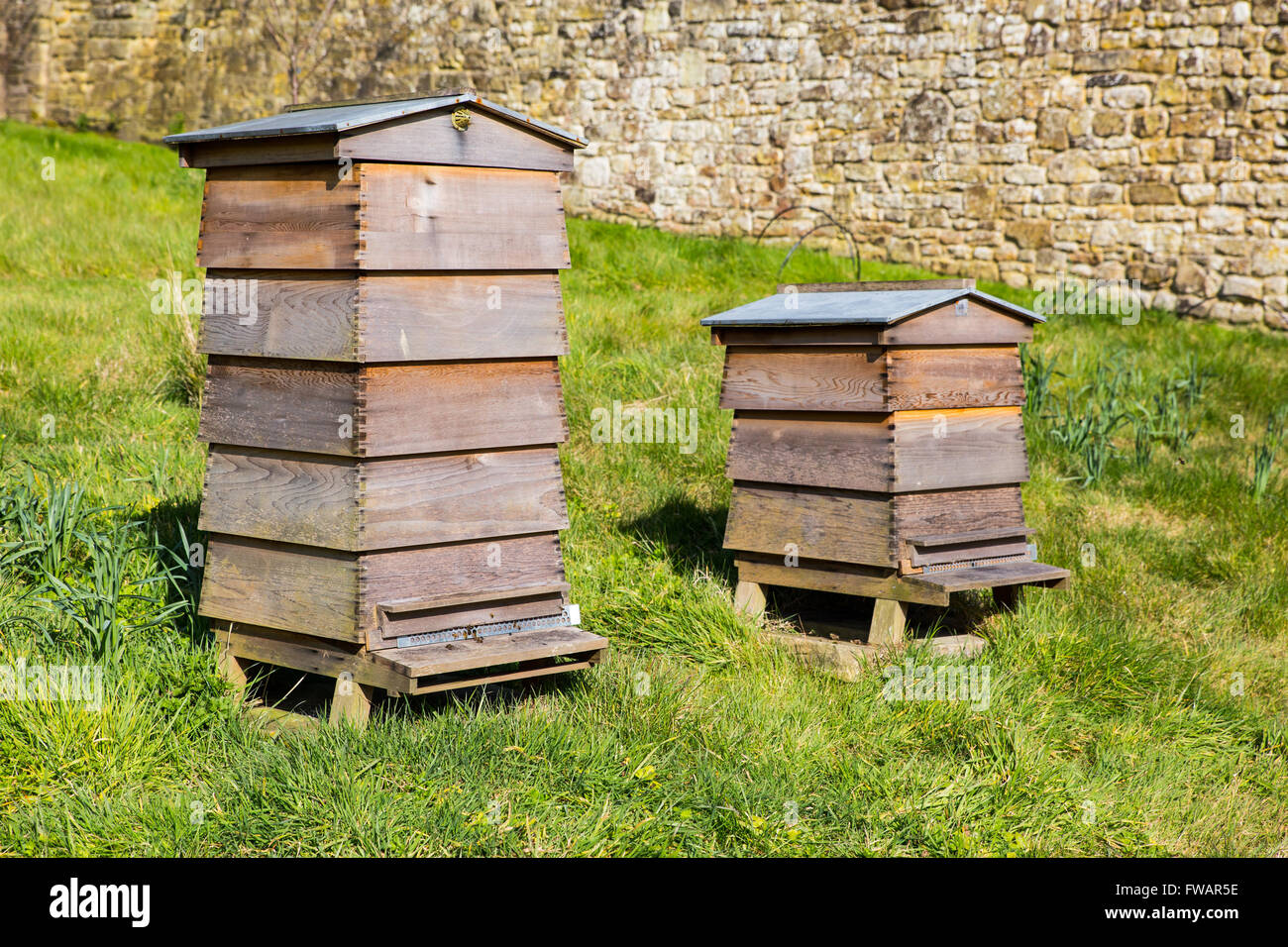 Beehives Stock Photos & Beehives Stock Images - Alamy