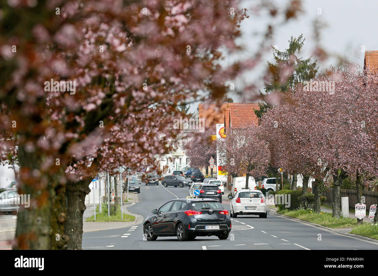 Bickenbach hi-res stock photography and images - Alamy