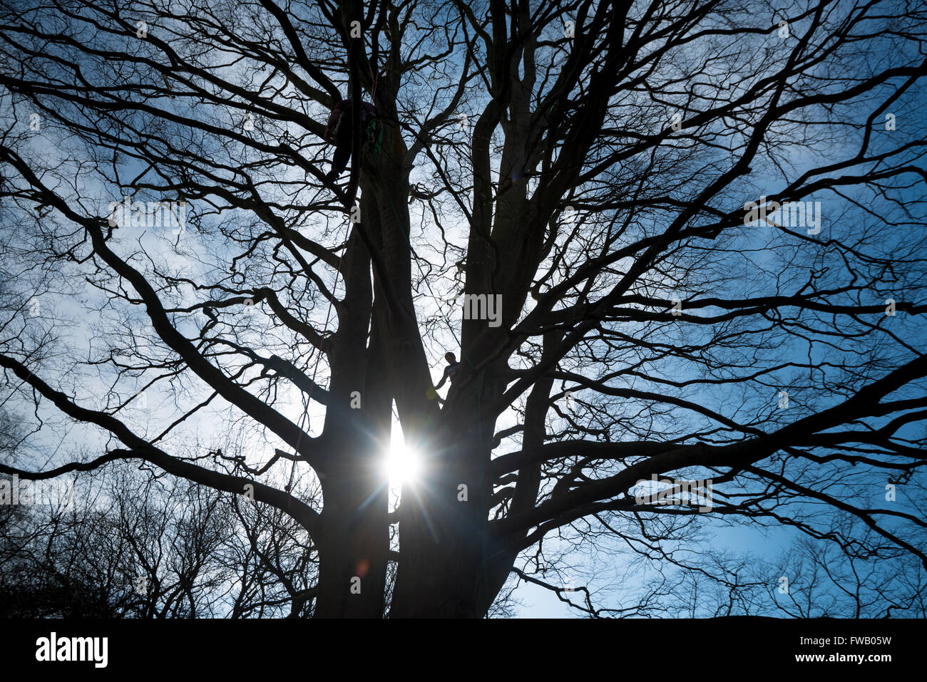 Shotover Forest, Oxford, Oxfordshire, UK. 2nd April 2016. Climbers ...