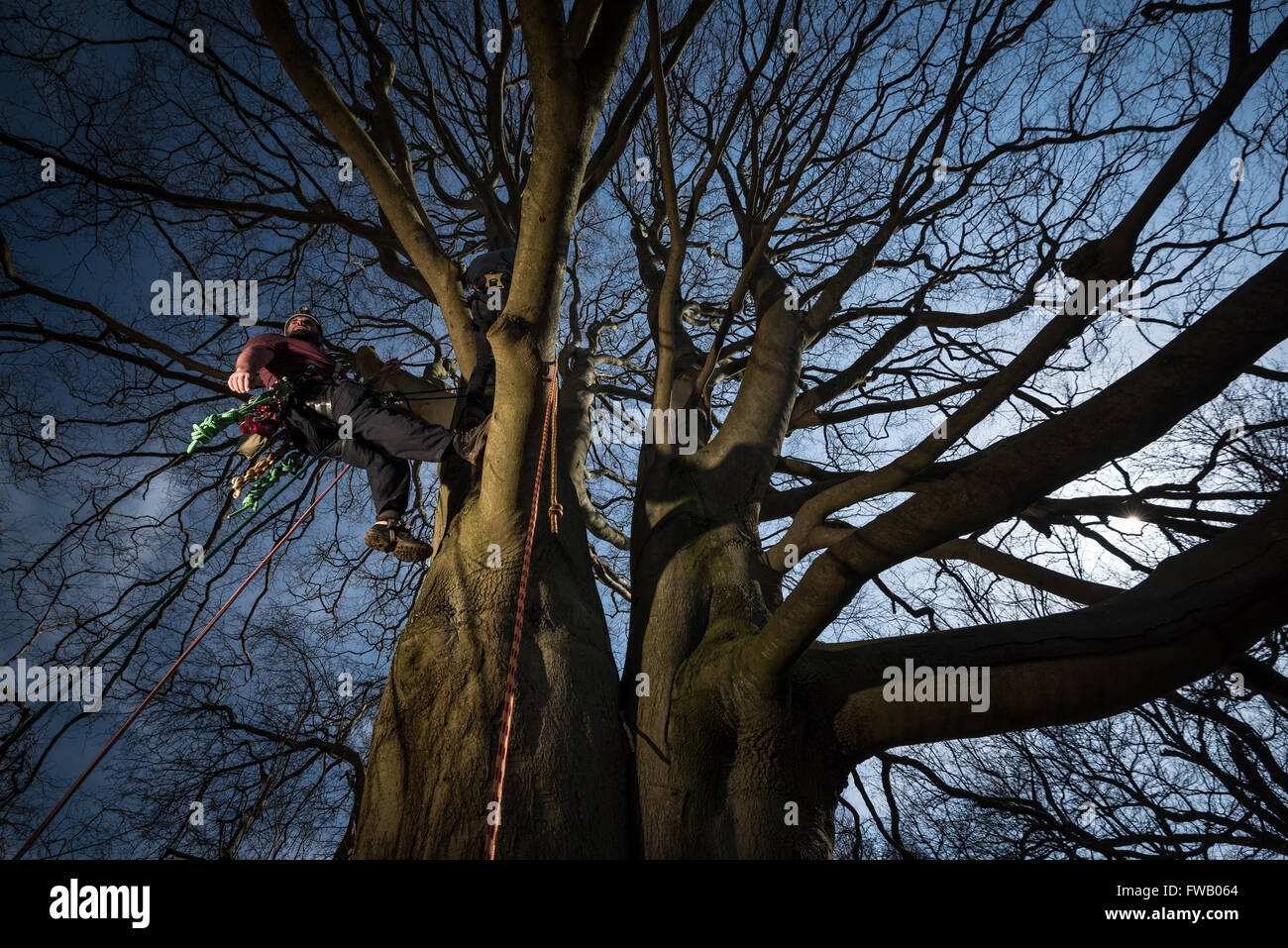 Shotover Forest, Oxford, Oxfordshire, UK. 2nd April 2016. Climbers ...