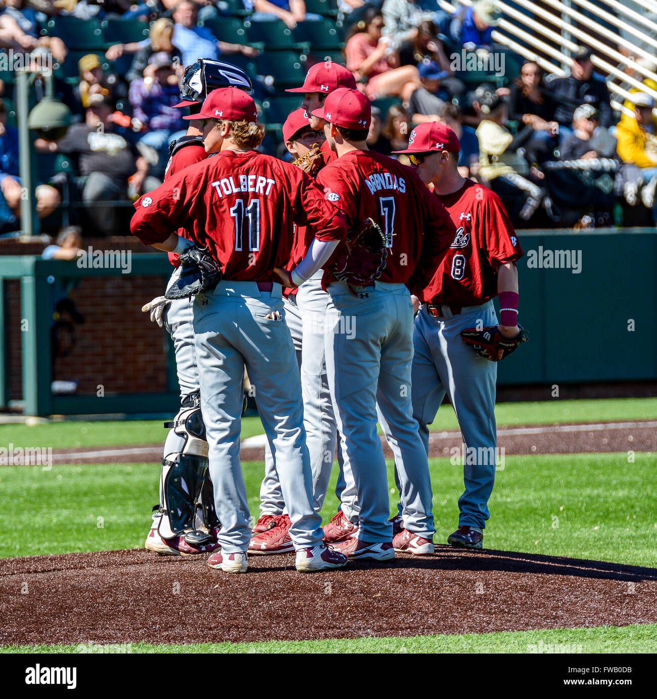 April 2, 2016 - South Carolina players on the mound during the NCAA ...