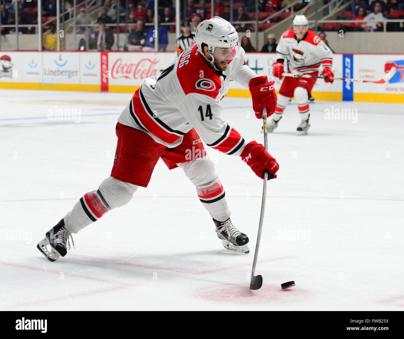 Charlotte Checkers LW Justin Shugg (14) during the AHL game between the ...