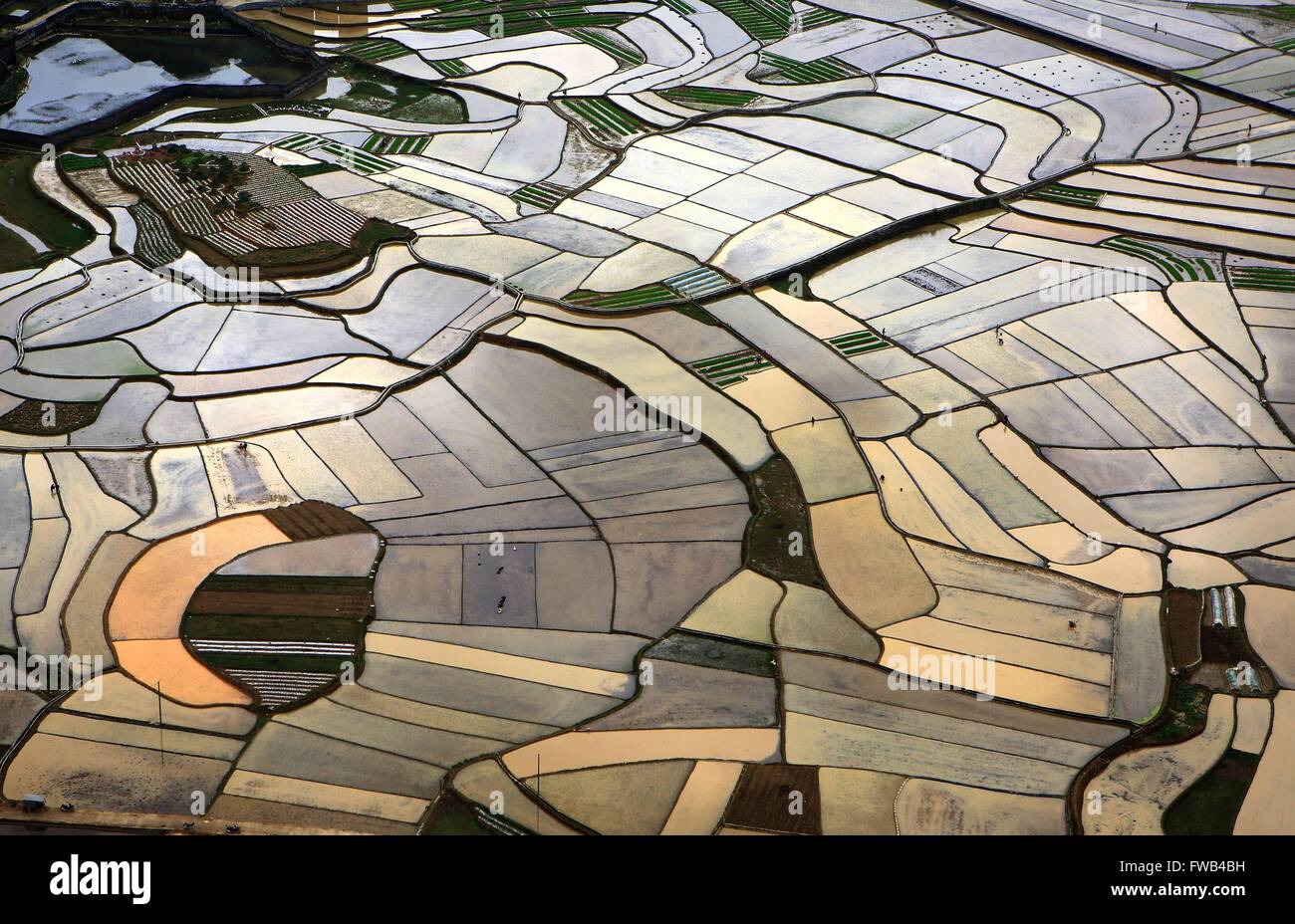 Hechi hi-res stock photography and images - Alamy