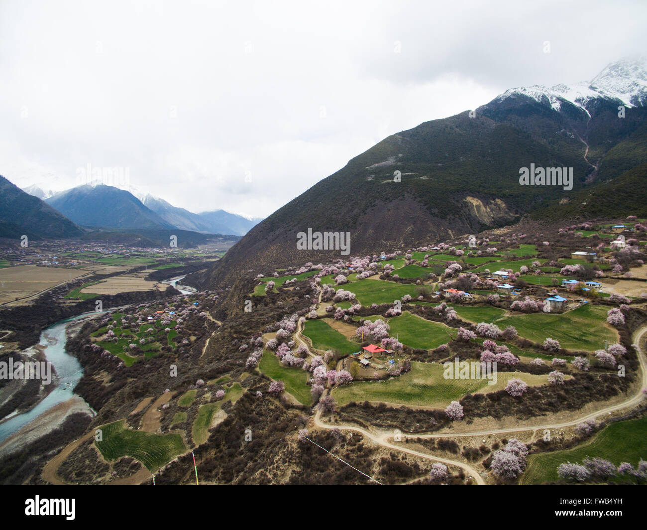 Bomi High Resolution Stock Photography and Images - Alamy