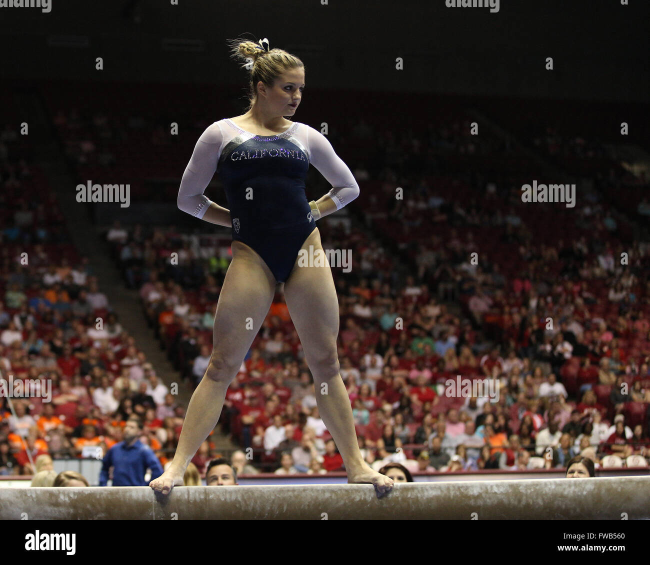 Jessica howe hi-res stock photography and images - Alamy