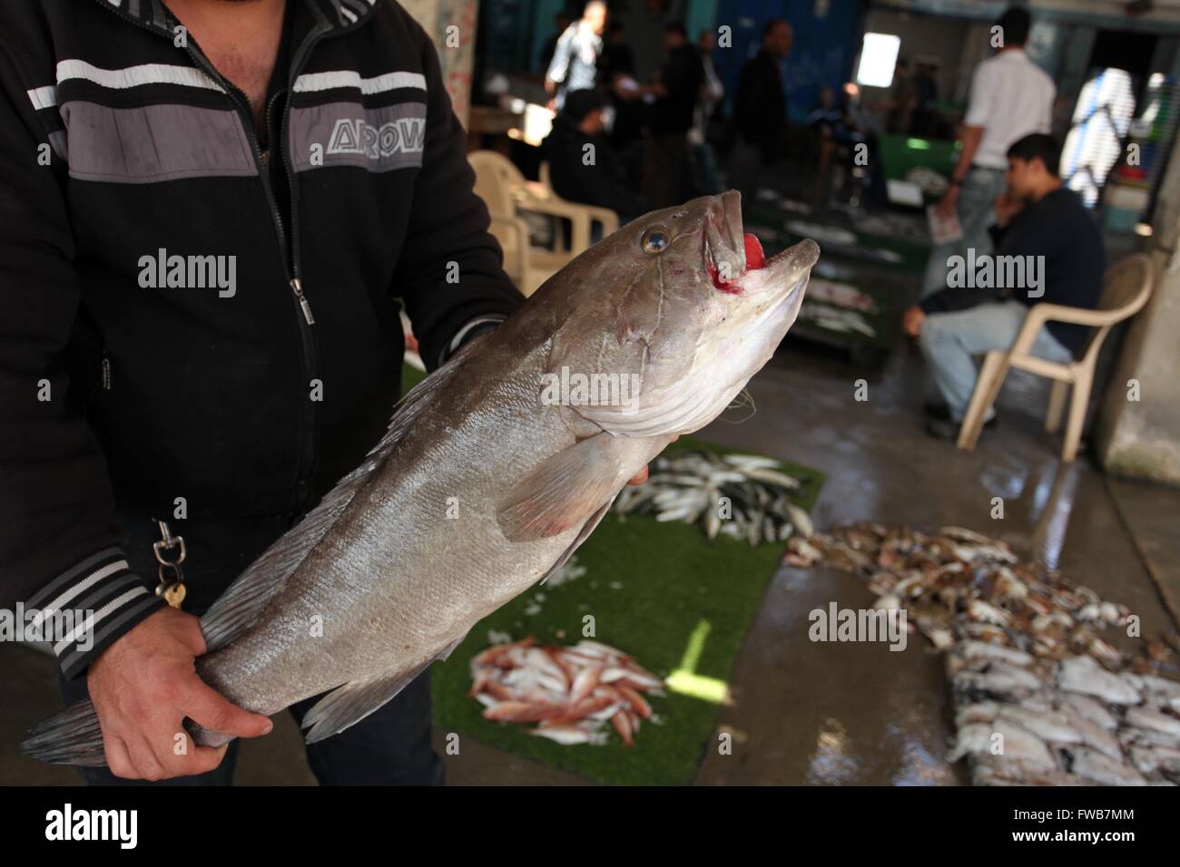 Dair Al Balah, Gaza Strip, Palestinian Territory. 3rd Apr, 2016. A ...