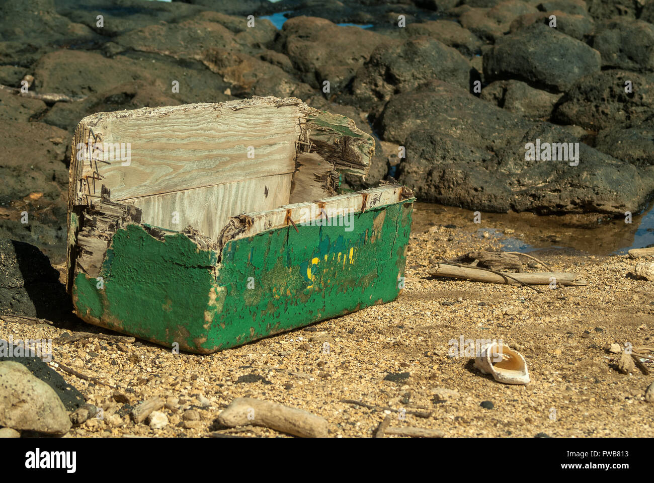 Old Treasure Chest washed ashore Stock Photo - Alamy