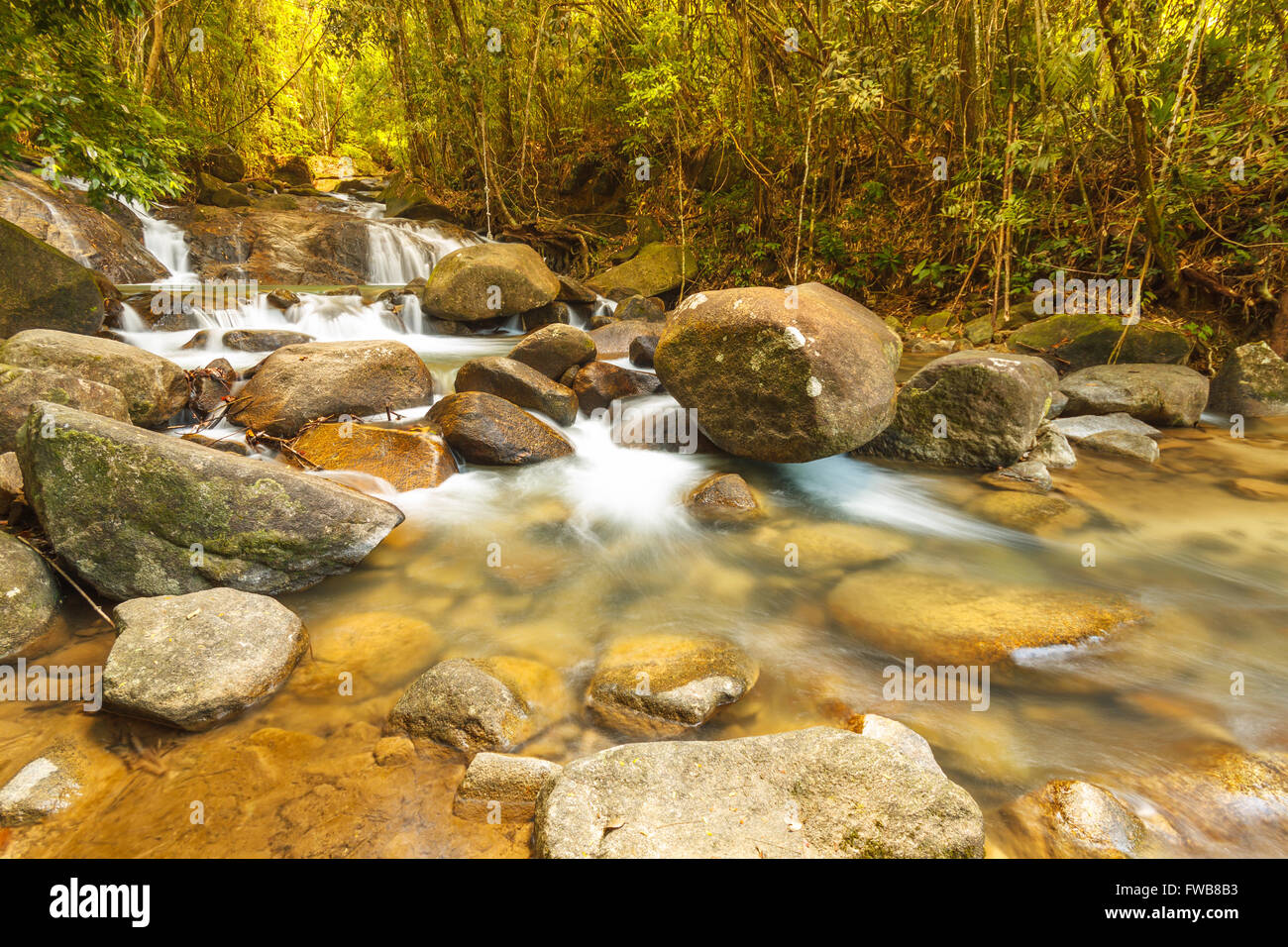 Fresh waterfall stream in the rainforest, Thailand Stock Photo - Alamy