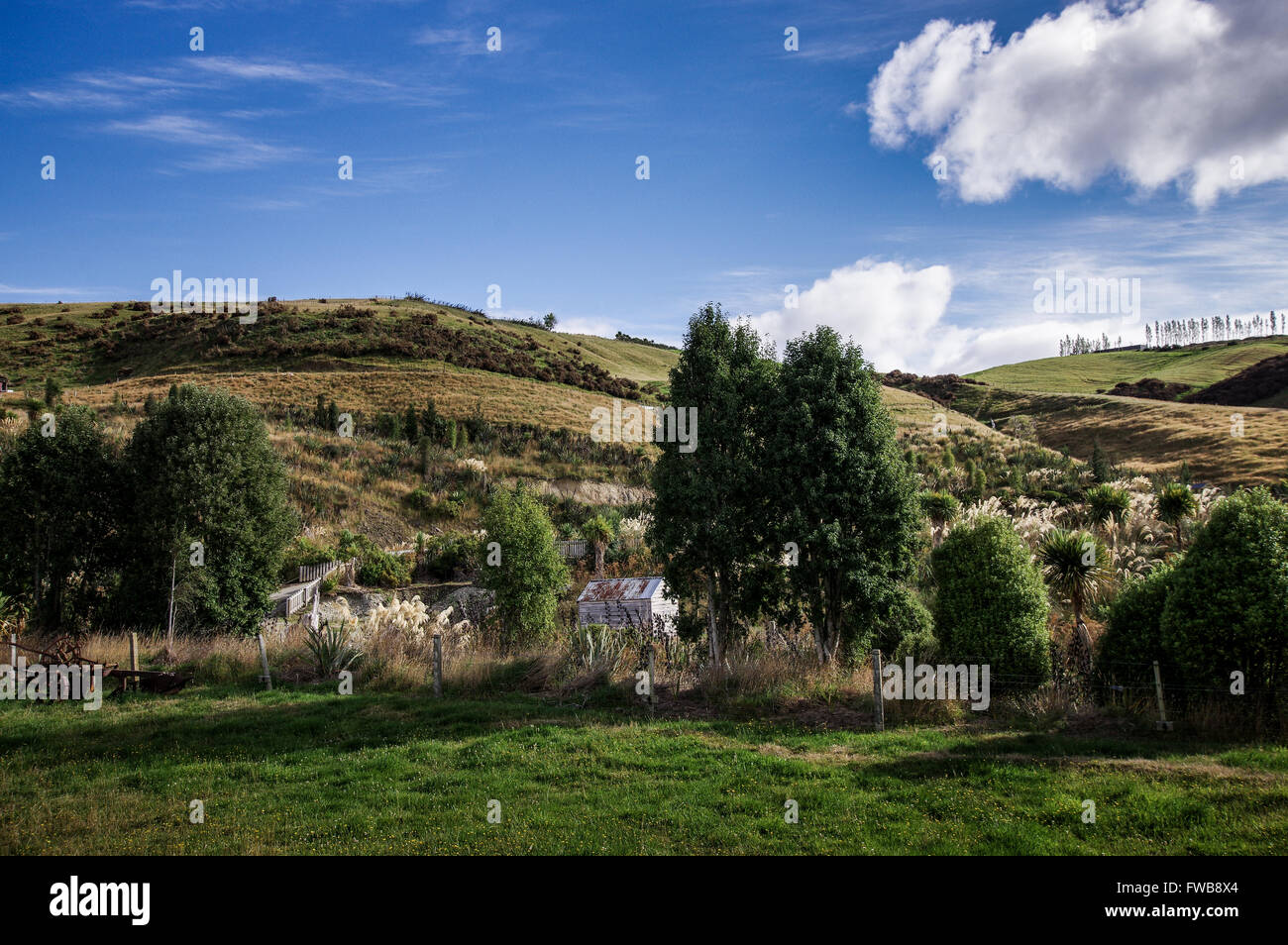 Rural landscape in New Zealand, South Island Stock Photo - Alamy
