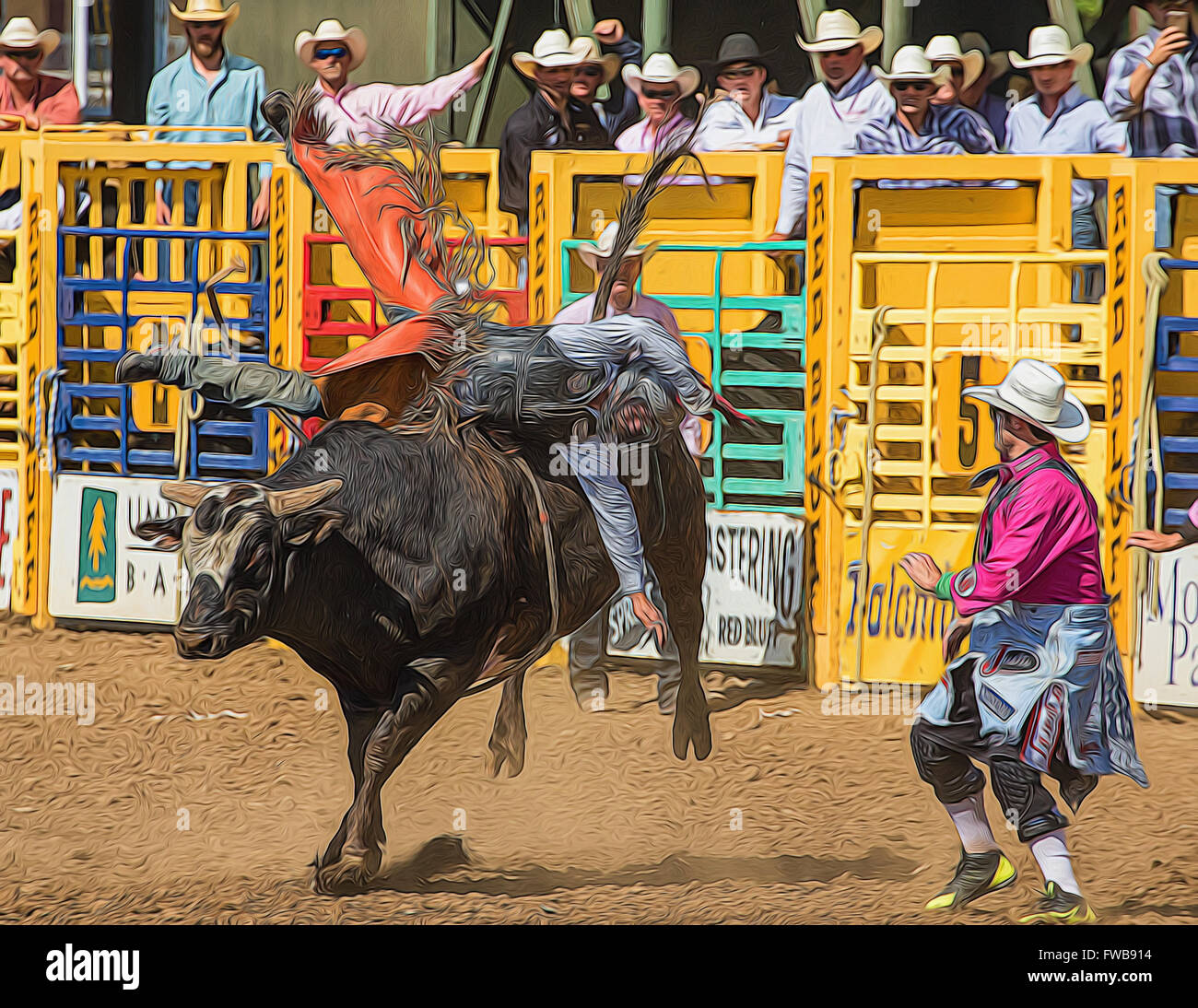 Rodeo action during a rodeo in Red Bluff, California Stock Photo - Alamy